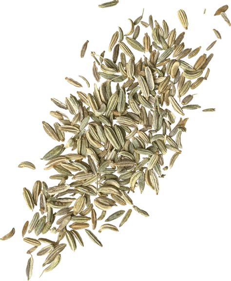 店舗情報｜cafeandbar Junon 山口県下関市のカフェバー