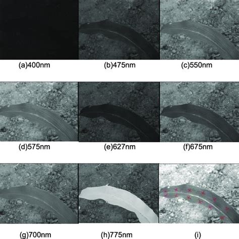 Network Structure Of The Hybrid 1 D Cnn Gru Model Download Scientific Diagram