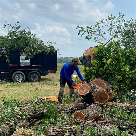 The 10 Best Tree Trimming Services In Georgetown TX 2025