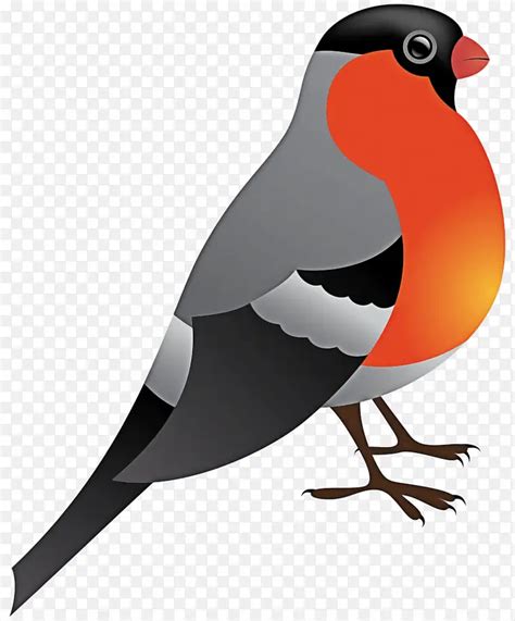 Png Png