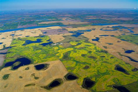 Habitat Loss And Fragmentation Audubon Great Plains
