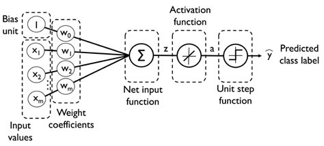 15 Single Layer Architecture 1 Download Scientific Diagram