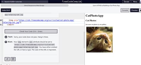 Learn Html By Building A Cat Photo App Step 8 Html Css The