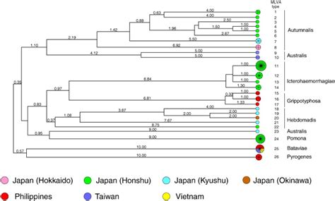 Dendrogram Based On Mlva Using 11 Loci Showing Relationships Between