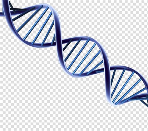 Green Screen Dna Double Helix Structure Animation Dna