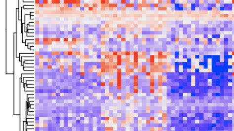 Rna Seq Analysis Workshop Genomecenter