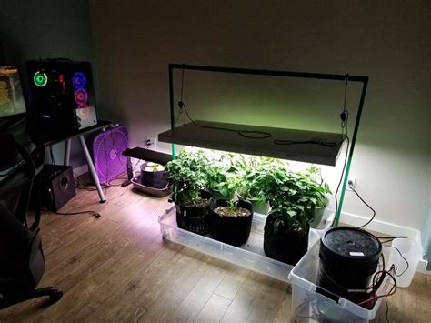 Project Indoor Garden General Guidance Arduino Forum