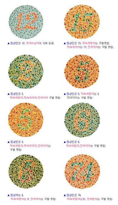 색맹 색약검사 방법 간단한 색맹테스트 싸인펜의 Lifelog