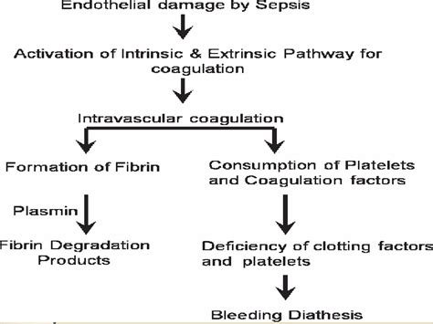 Disseminated Intravascular Coagulation Pptx