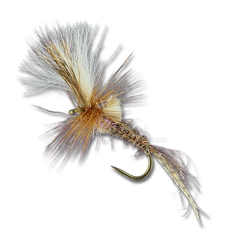 Mayfly Cripples At The Fly Shop