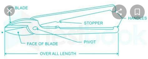 Straight Snip Practical Notes Teachmint