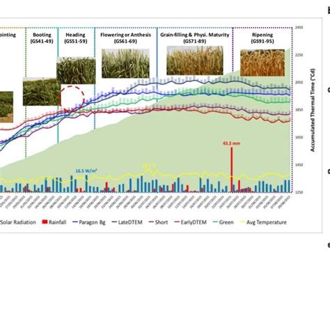 Monitoring Wheat Performance Using The Cropquant Platform And Exploring