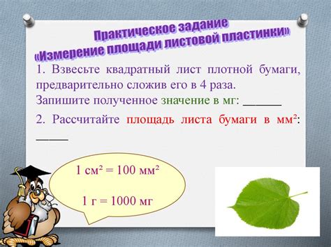 Практическое задание Измерение площади листовой пластинки Online Presentation