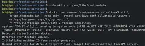 How To Install FreeIPA Server With Docker On Debian