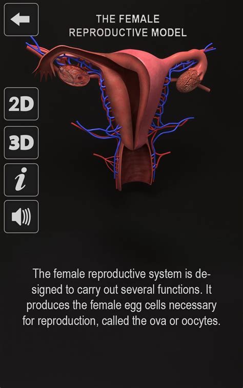 ดาวน์โหลด Female Reproductive System Internal Organs 3d Apk สำหรับ Android