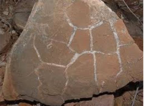 Structures Flashcards Quizlet