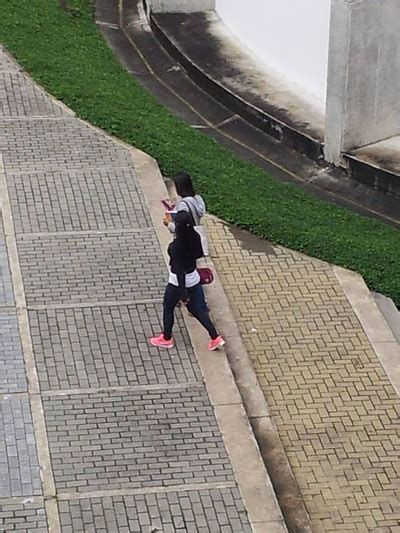 Resultados Determinismo Tecnológico