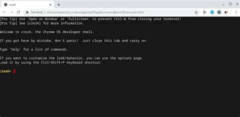20 Essential Crosh Commands Chromeos Users Should Know