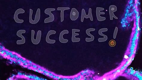 Video Phillip Clarke On Linkedin Customersuccess Customersatisfaction Imageanalysis Ai