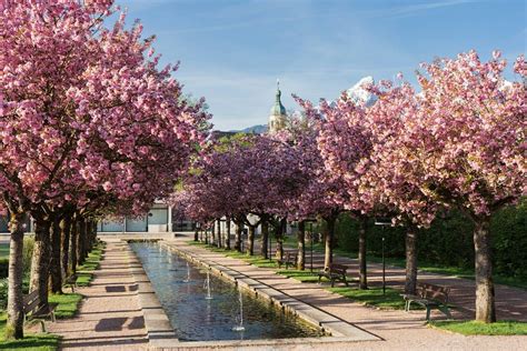 Towards Data Science On Linkedin Convenient Time Series Forecasting With Sktime