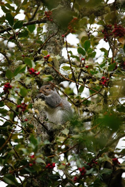 Moishe Pipicks World Of Wonders On Tumblr