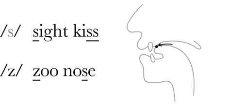 Fricatives 21 29 Pronunciation Studio