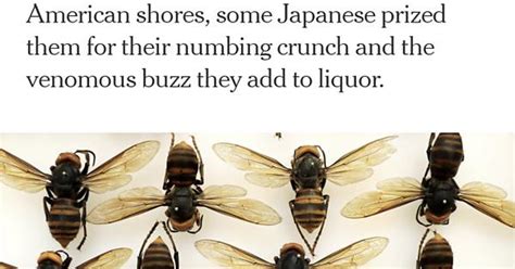 it s cool guys they help get you drunk album on imgur