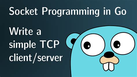 build a concurrent tcp server in go with graceful shutdown include unit tests by viktor