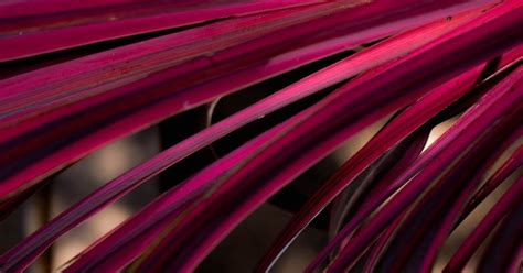 Annalee Wolfe Photography