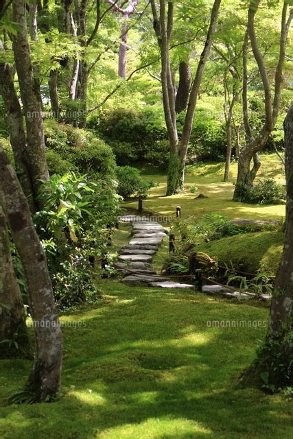 京都 大河内山荘庭園の新緑の写真素材 FYI08025293 ストックフォトの Qlean Marketキュリンマーケット