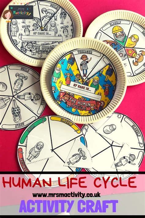 Human Life Cycle Activities For Kindergarten Free Math Worksheet