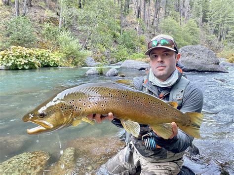 Guided Fly Fishing Redding Ca — 530 Outfitters