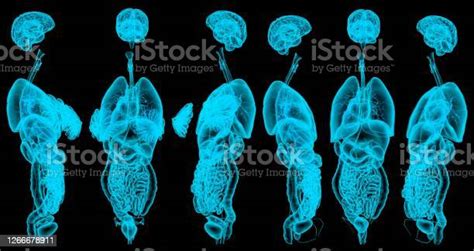 6 하이 레스트 홀로그램 Xray 남자와 여자의 내부 기관의 렌더링 해부학 연구 개념 검은 색에 고립 된 디지털 의료 3d 그림 0명에 대한 스톡 사진 및 기타 이미지