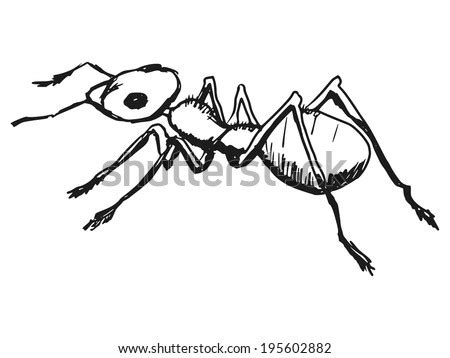 Anthill Sketch Templates
