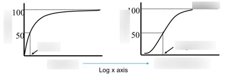 Concentration Response Curve Diagram Quizlet