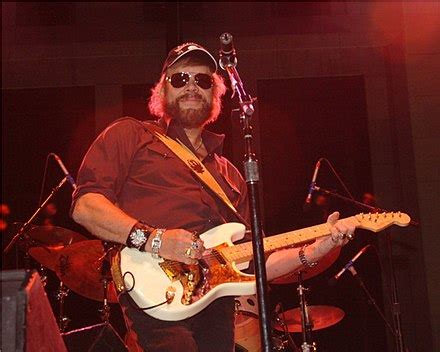 Hank Williams Jr Wikipedia