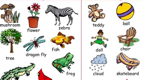 Grade 1 Science Living And Non Living Things Living And Nonliving