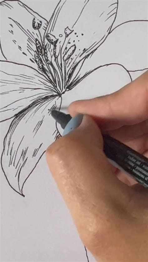 How To Draw A Lily Full Tutorial On YouTube Pen Art Drawings Art Sketchbook Art Drawings