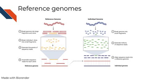 Chapter Annotating Genomes Choosing Genomics Tools