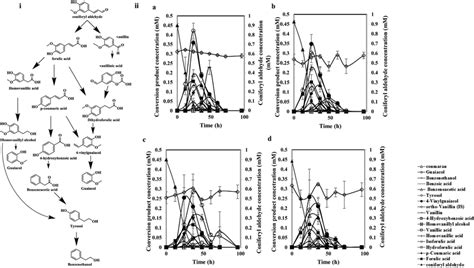 I Proposed Conversion Route Of Coniferyl Aldehyde Into Other Phenolic