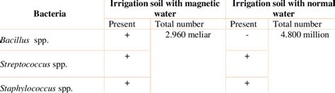 Type And Number Of Bacteria Present In Soil Download Scientific Diagram