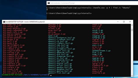 Ubuntu WSL Interface Problem With OS Issue Microsoft WSL GitHub