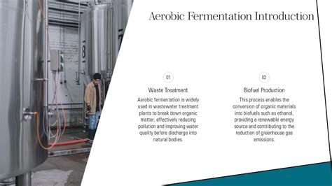 Top 10 Seminor On Fermentation Of Wine Powerpoint Presentation