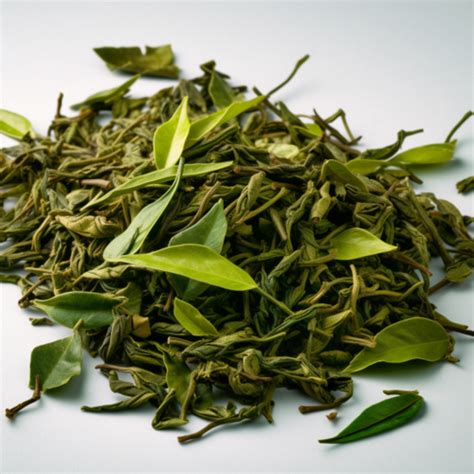 Lu Cha Green Tea Tcm Herb Information Me And Qi