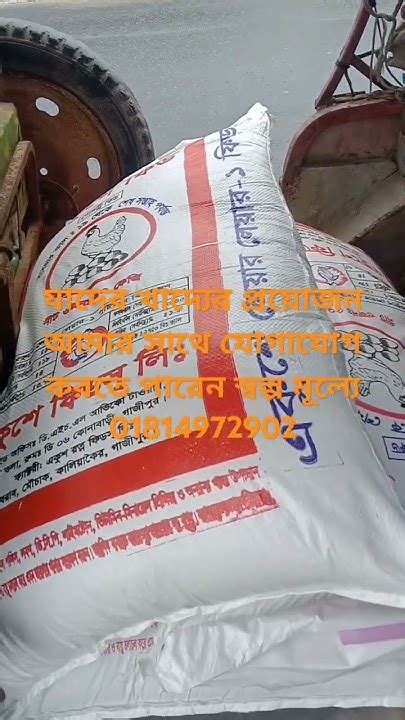 একুশে ফিট মুরগির খাদ্য Birds Youtube