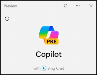 What Privacy Options Do I Have With Microsoft Copilot