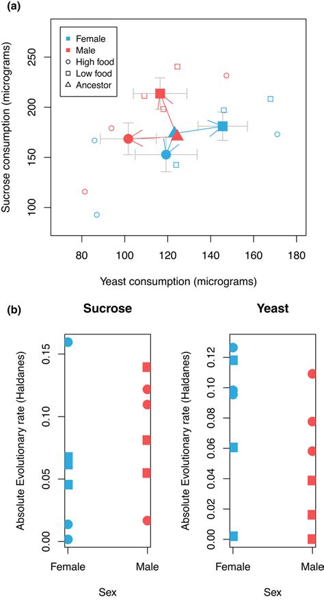 Evolution Of Sexual Dimorphism Occurred Via Divergence In Both Male And Download Scientific