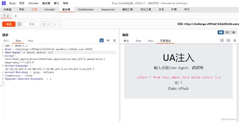 Ctfhub（web Sql）（四）ctfhub Cookie注入 Csdn博客