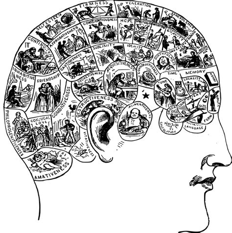 Differences Between Prospective Memory And Retrospective Betterhelp