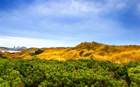 Superpack Beautiful Nature Hd Wallpaper Wallpapers HD Desktop And